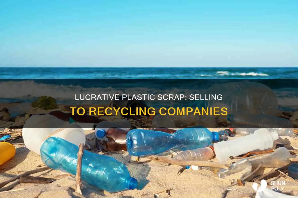 Lucrative Plastic Scrap: Selling To Recycling Companies | ShunPoly