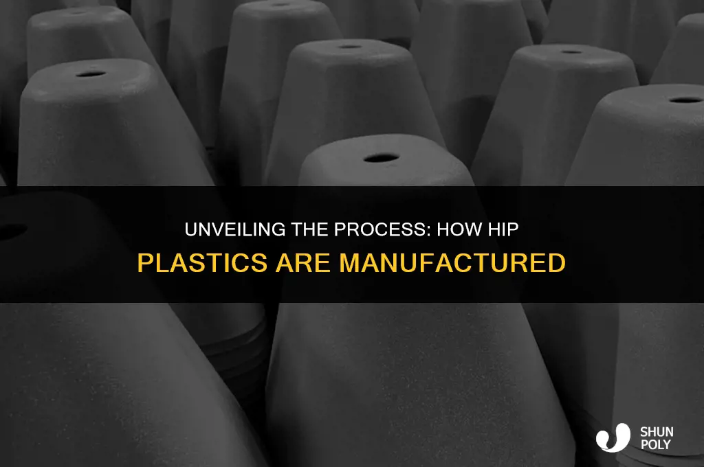 Unveiling The Process: How Hip Plastics Are Manufactured | ShunPoly