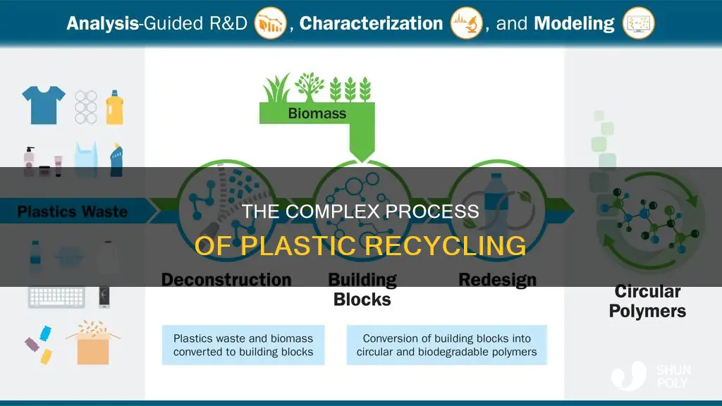 The Complex Process Of Plastic Recycling | ShunPoly