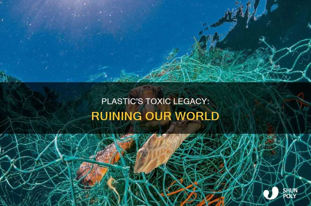 Plastic's Toxic Legacy: Ruining Our World | ShunPoly