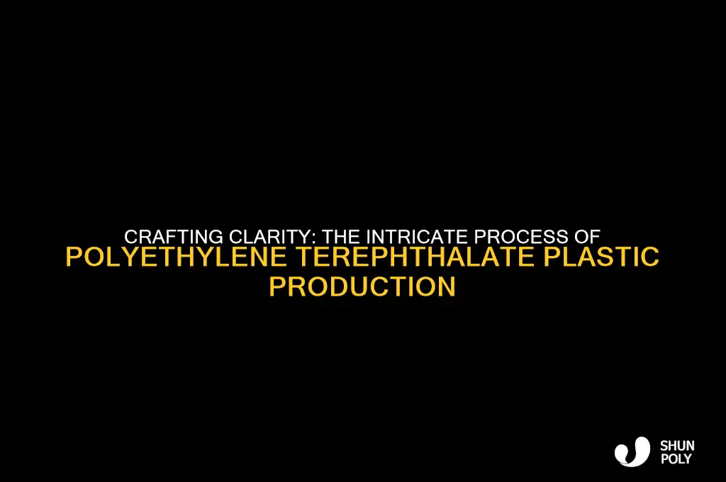 Crafting Clarity: The Intricate Process Of Polyethylene Terephthalate ...