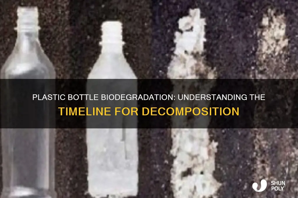 Plastic Bottle Biodegradation: Understanding The Timeline For ...
