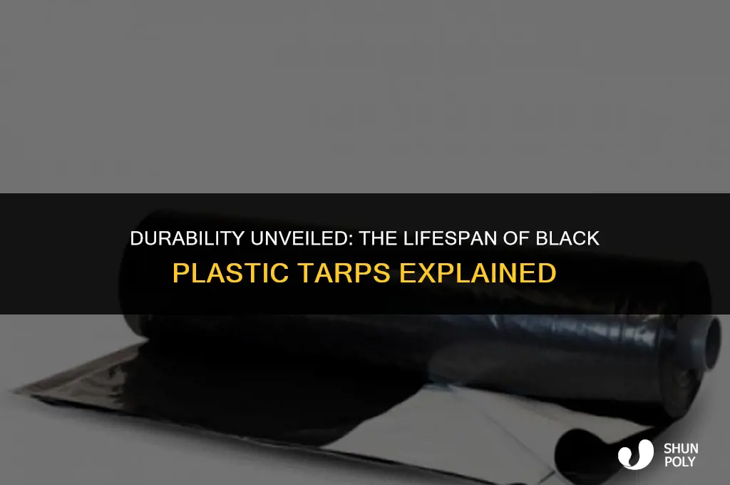Durability Unveiled: The Lifespan Of Black Plastic Tarps Explained ...