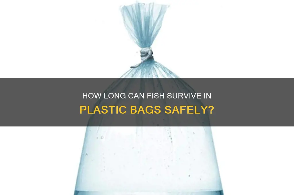 How Long Can Fish Survive In Plastic Bags Safely? | ShunPoly