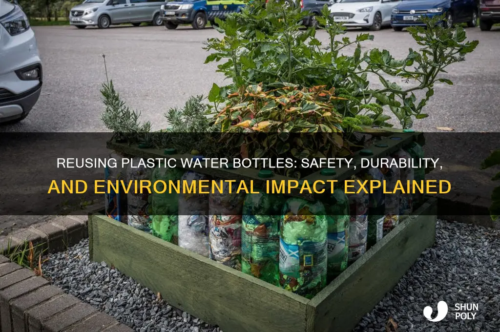 Reusing Plastic Water Bottles: Safety, Durability, And Environmental ...