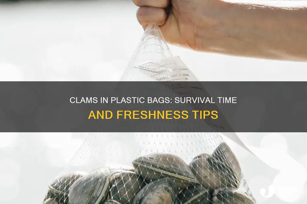 Clams In Plastic Bags: Survival Time And Freshness Tips | ShunPoly