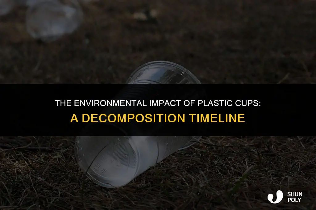 The Environmental Impact Of Plastic Cups: A Decomposition Timeline ...
