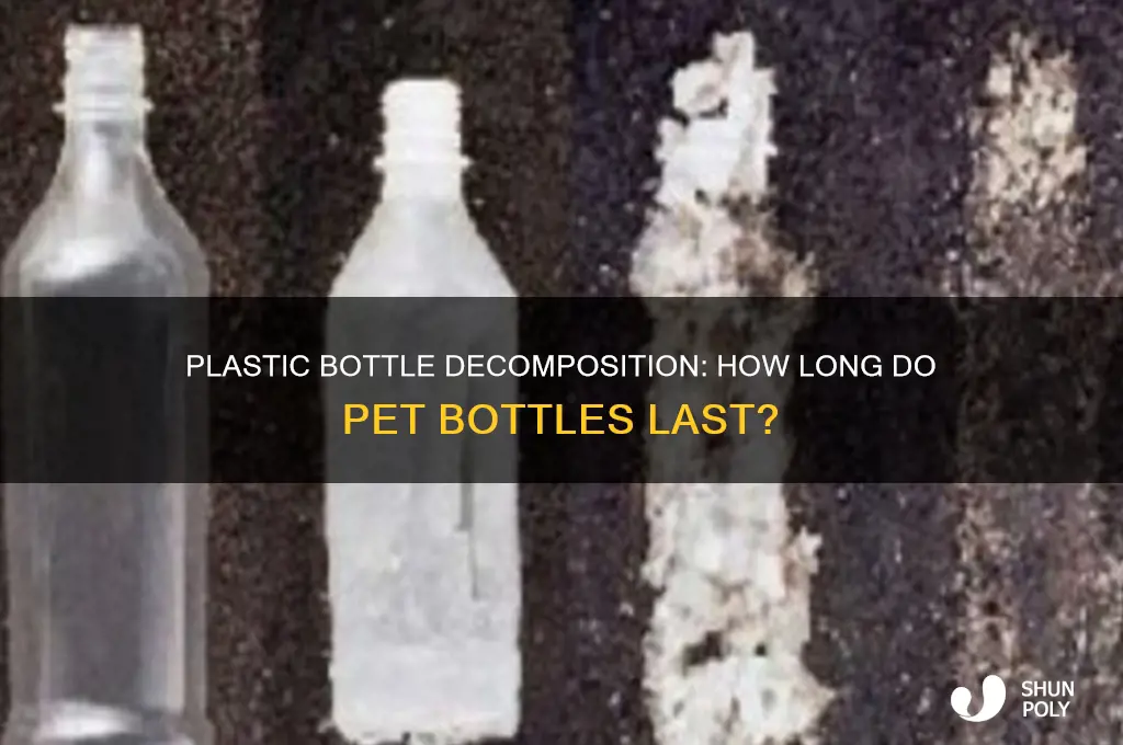 Plastic Bottle Decomposition: How Long Do Pet Bottles Last? | ShunPoly