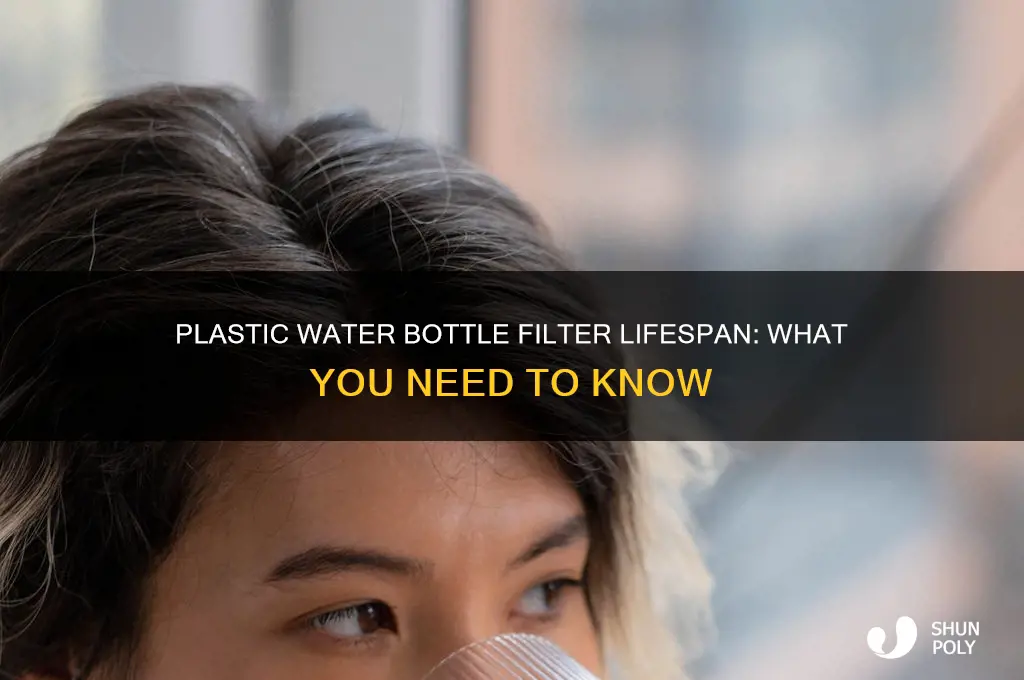 Plastic Water Bottle Filter Lifespan: What You Need To Know | ShunPoly