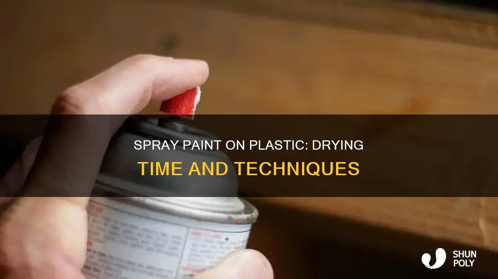 Spray Paint On Plastic: Drying Time And Techniques | ShunPoly