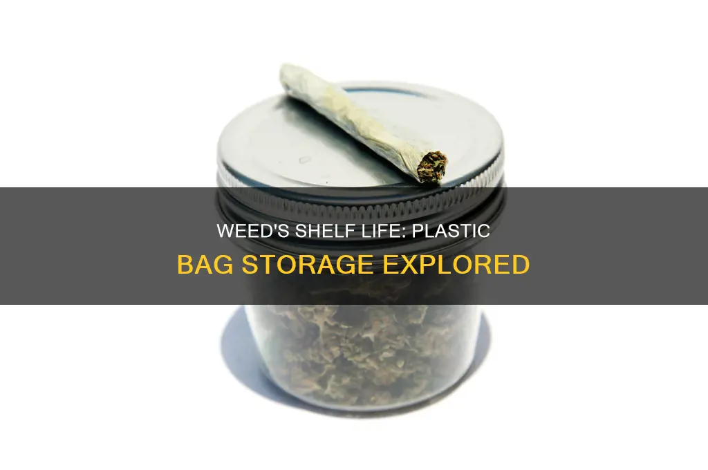 Weed's Shelf Life: Plastic Bag Storage Explored | ShunPoly