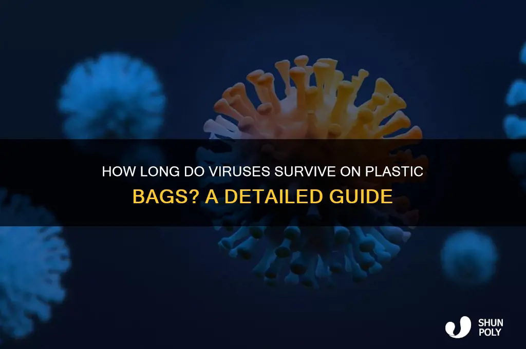 How Long Do Viruses Survive On Plastic Bags? A Detailed Guide | ShunPoly