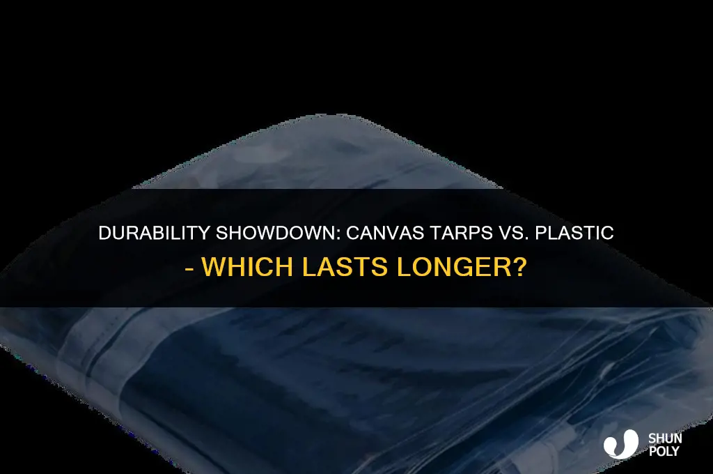 Durability Showdown: Canvas Tarps Vs. Plastic - Which Lasts Longer ...
