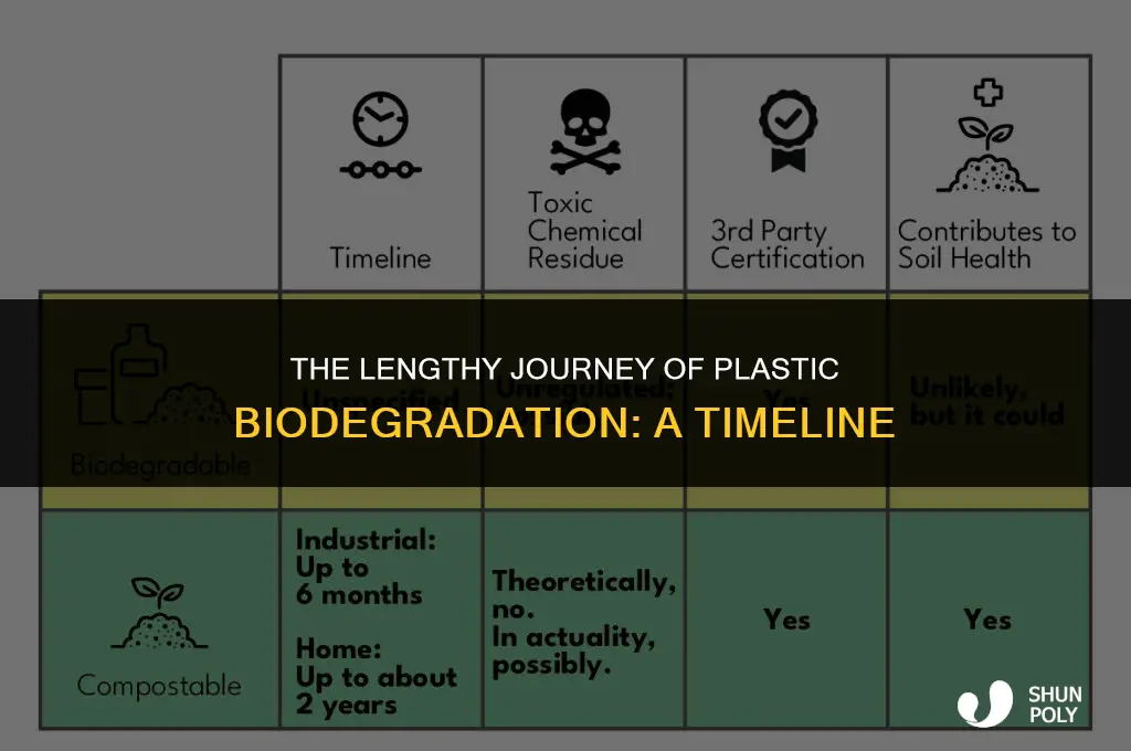 The Lengthy Journey Of Plastic Biodegradation: A Timeline | ShunPoly