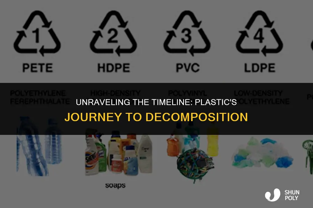 Unraveling The Timeline: Plastic's Journey To Decomposition | ShunPoly