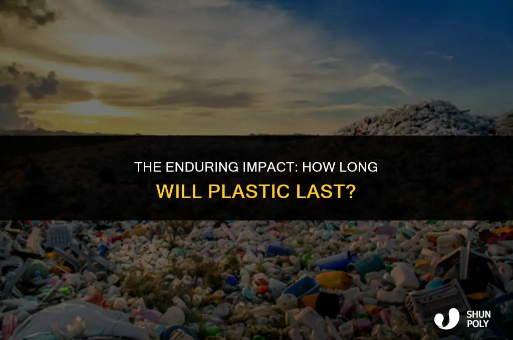 The Enduring Impact: How Long Will Plastic Last? | ShunPoly