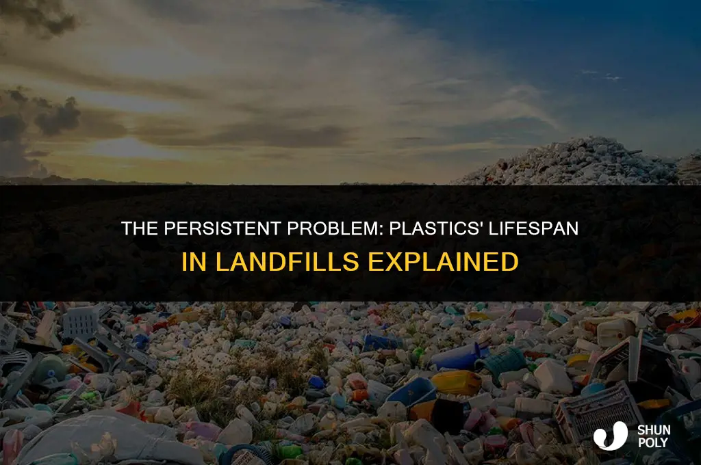 The Persistent Problem: Plastics' Lifespan In Landfills Explained ...