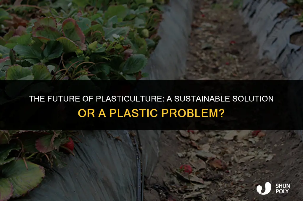 The Future Of Plasticulture: A Sustainable Solution Or A Plastic ...