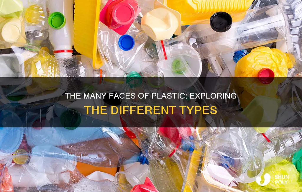 The Many Faces Of Plastic: Exploring The Different Types | ShunPoly