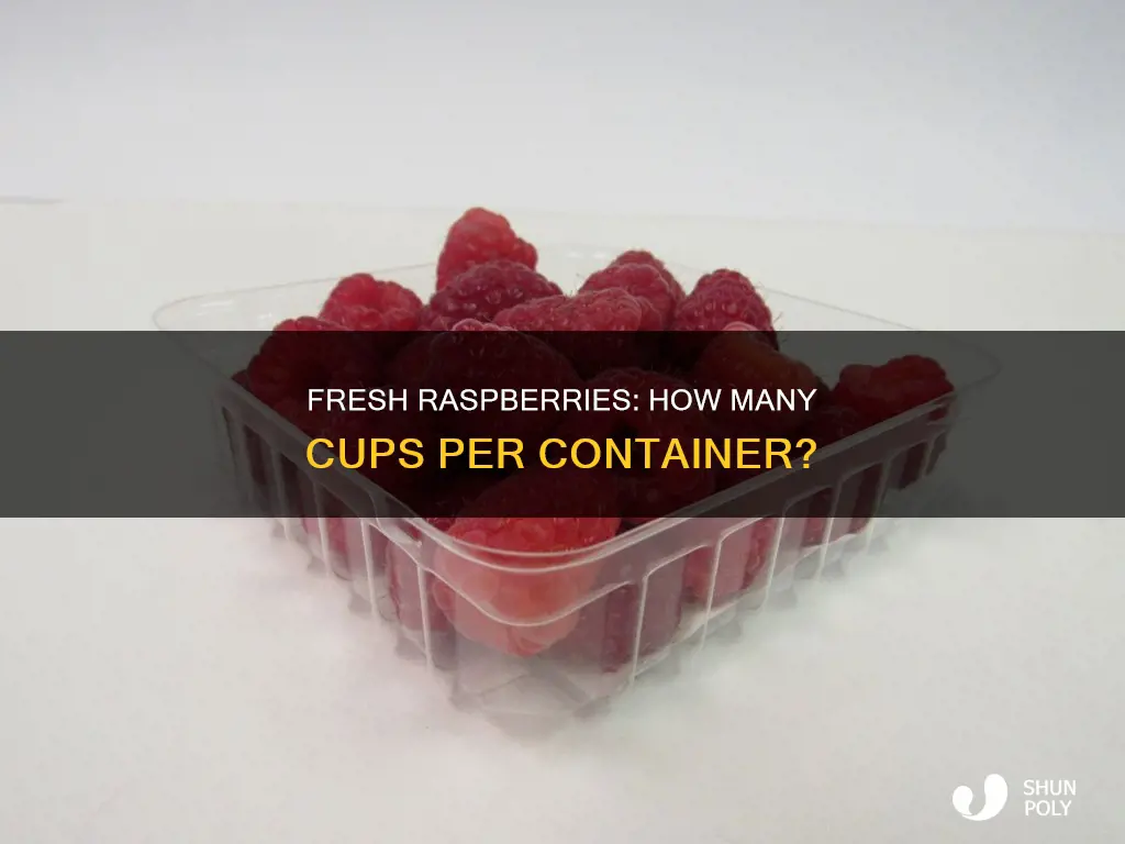 Fresh Raspberries: How Many Cups Per Container? | ShunPoly