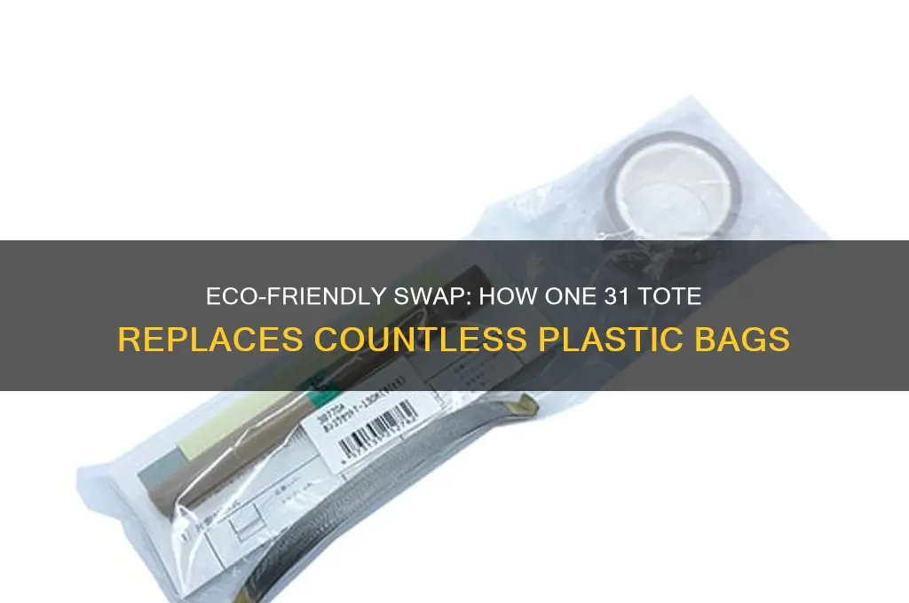 Eco-Friendly Swap: How One 31 Tote Replaces Countless Plastic Bags ...