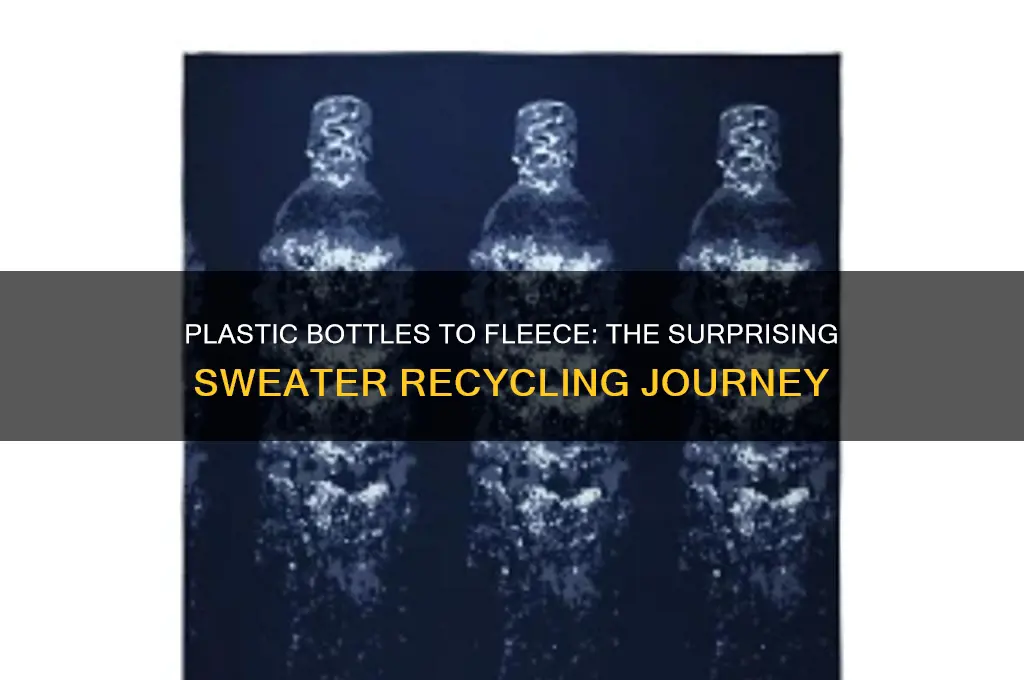 Plastic Bottles To Fleece: The Surprising Sweater Recycling Journey ...