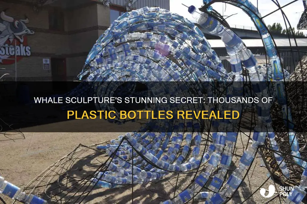 Whale Sculpture's Stunning Secret: Thousands Of Plastic Bottles ...