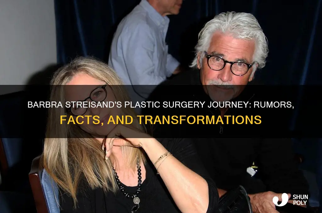 Barbra Streisand's Plastic Surgery Journey: Rumors, Facts, And ...