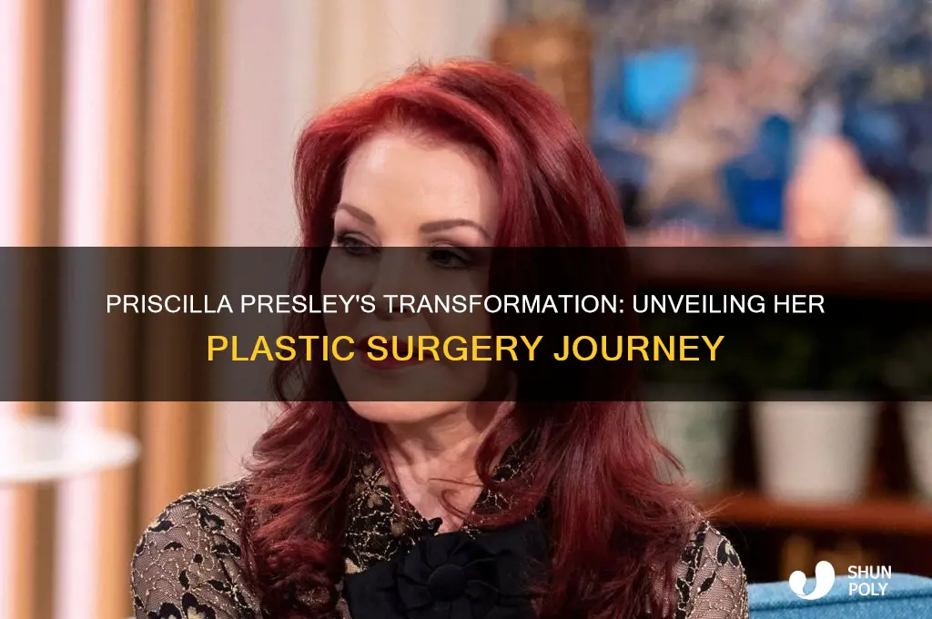 Priscilla Presley's Transformation: Unveiling Her Plastic Surgery ...