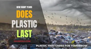 Plastic's Long Goodbye: Years To Dissolve | ShunPoly