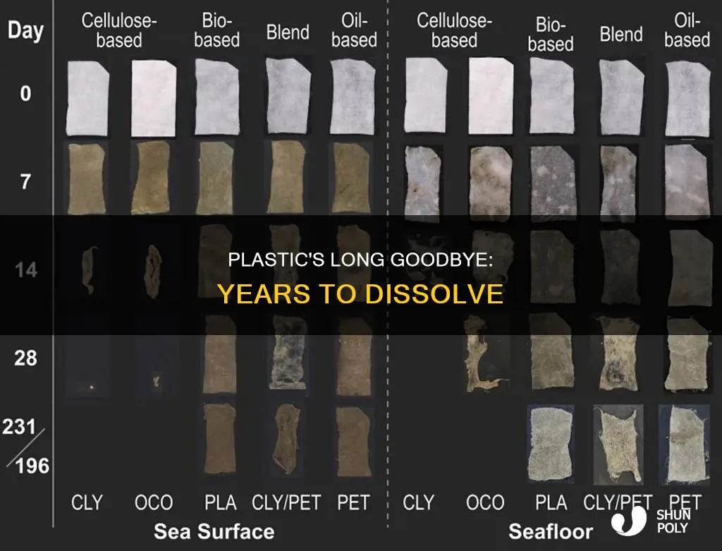 Plastic's Long Goodbye: Years To Dissolve | ShunPoly