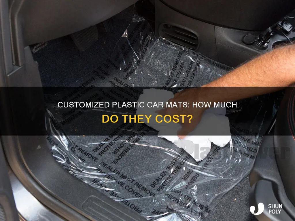 Customized Plastic Car Mats: How Much Do They Cost? | ShunPoly