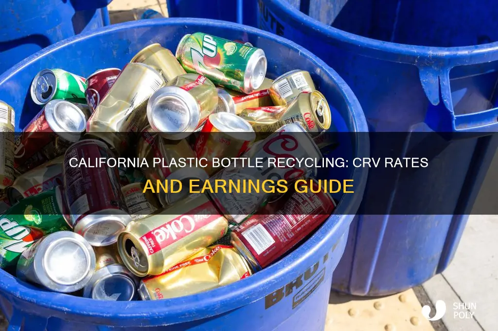 California Plastic Bottle Recycling: Crv Rates And Earnings Guide ...