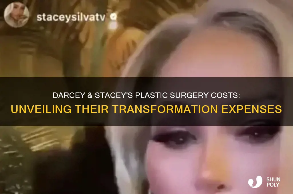 Darcey & Stacey's Plastic Surgery Costs: Unveiling Their Transformation ...