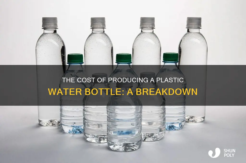 The Cost Of Producing A Plastic Water Bottle: A Breakdown | ShunPoly