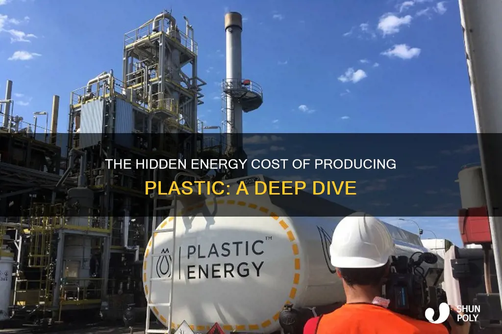 The Hidden Energy Cost Of Producing Plastic: A Deep Dive | ShunPoly