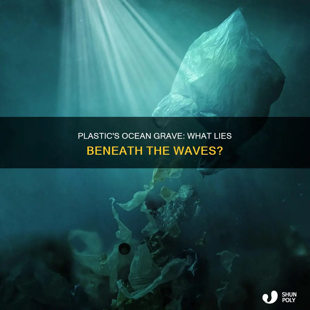 Plastic's Ocean Grave: What Lies Beneath The Waves? | ShunPoly