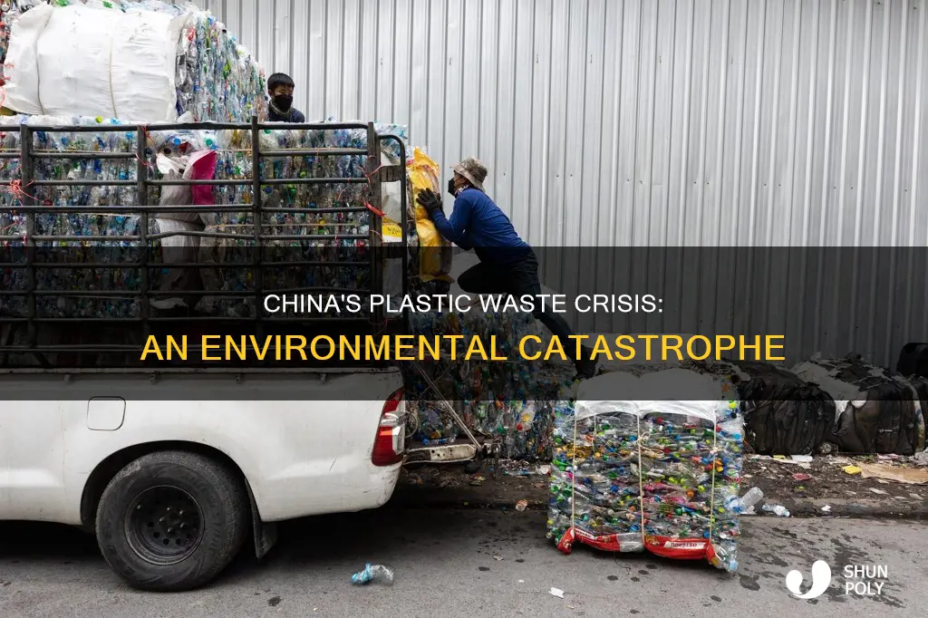 China's Plastic Waste Crisis: An Environmental Catastrophe | ShunPoly