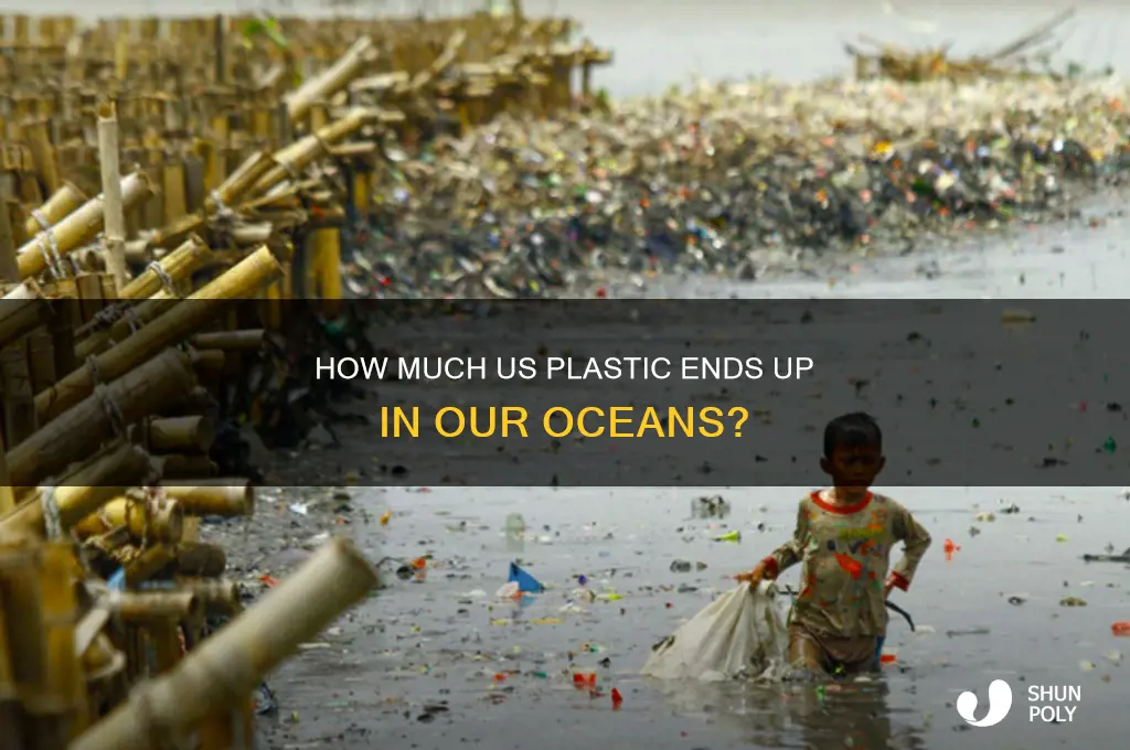 How Much Us Plastic Ends Up In Our Oceans? | ShunPoly