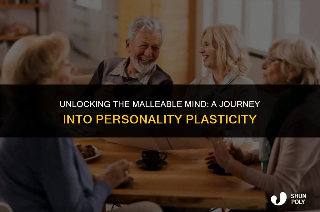 Unlocking The Malleable Mind: A Journey Into Personality Plasticity ...