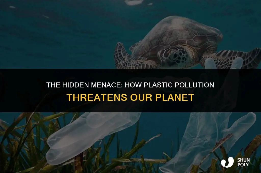 The Hidden Menace: How Plastic Pollution Threatens Our Planet | ShunPoly