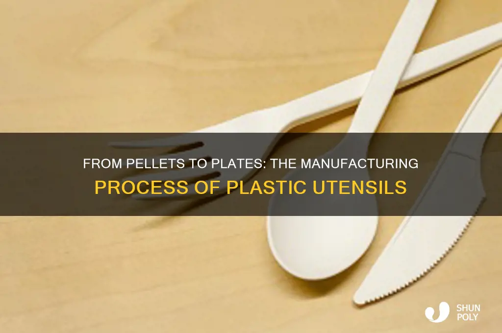 From Pellets To Plates: The Manufacturing Process Of Plastic Utensils ...