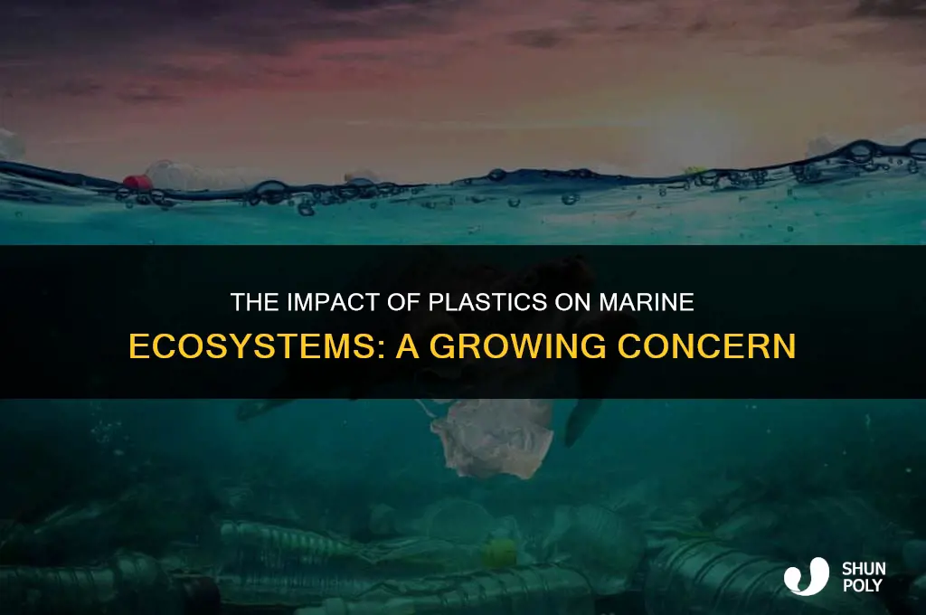 The Impact Of Plastics On Marine Ecosystems: A Growing Concern | ShunPoly