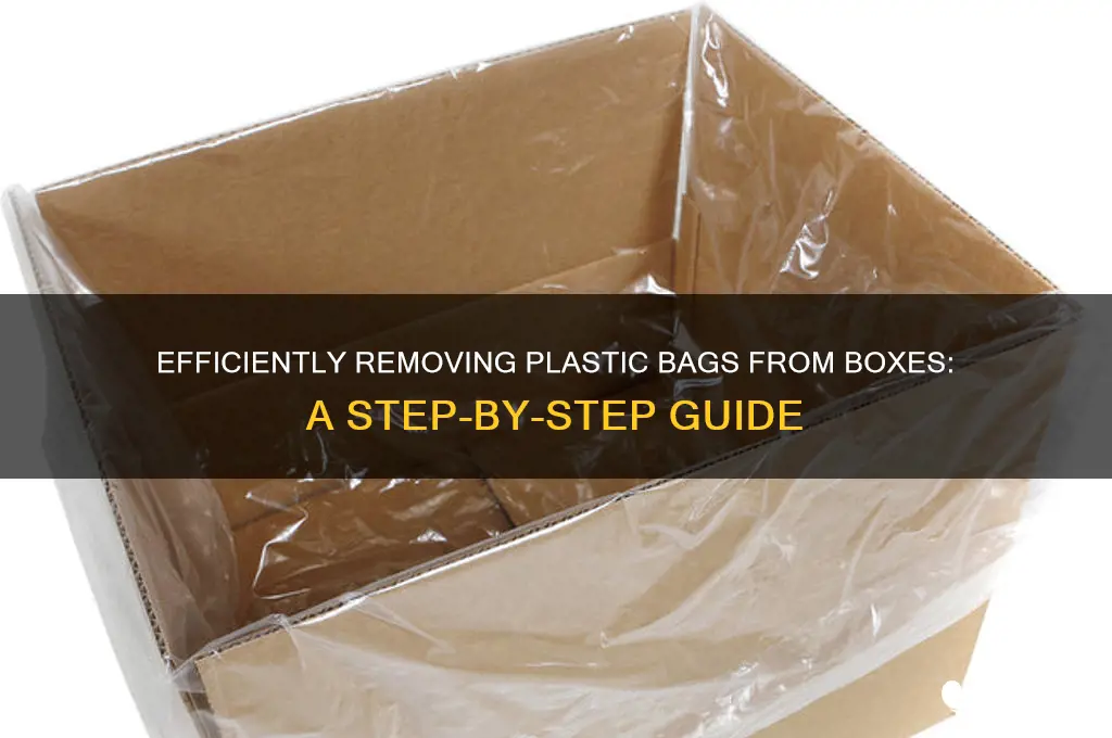 Efficiently Removing Plastic Bags From Boxes: A Step-By-Step Guide ...