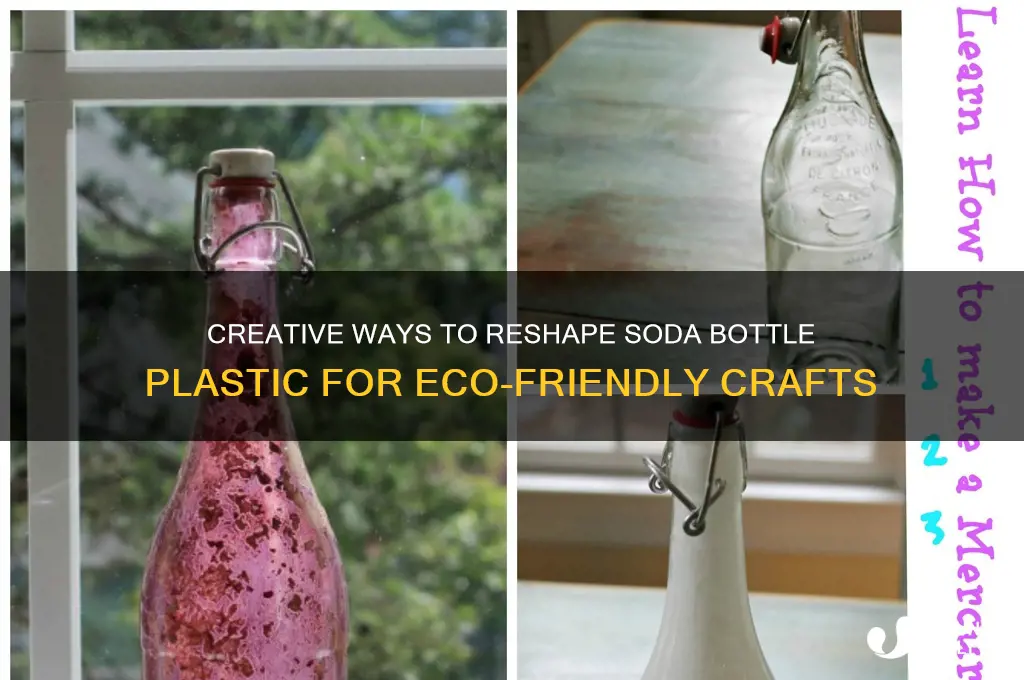 Creative Ways To Reshape Soda Bottle Plastic For Eco-Friendly Crafts ...