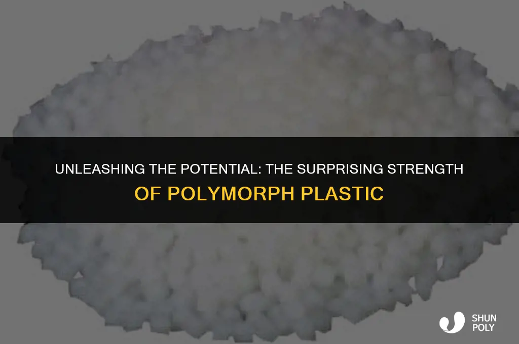 Unleashing The Potential: The Surprising Strength Of Polymorph Plastic ...
