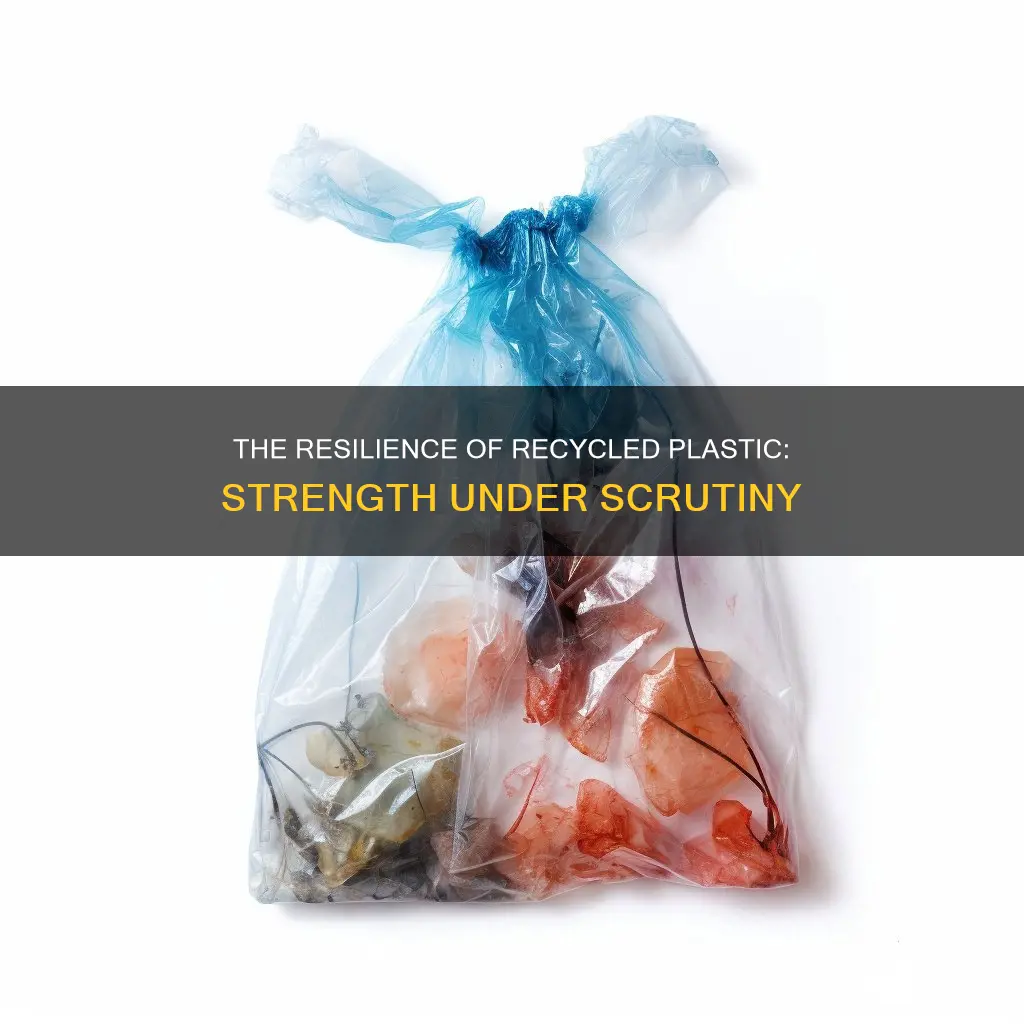 The Resilience Of Recycled Plastic: Strength Under Scrutiny | ShunPoly