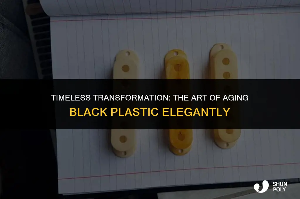 Timeless Transformation: The Art Of Aging Black Plastic Elegantly ...