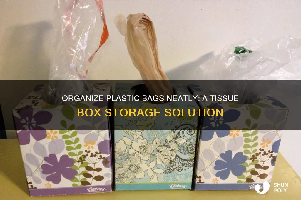 Organize Plastic Bags Neatly: A Tissue Box Storage Solution | ShunPoly