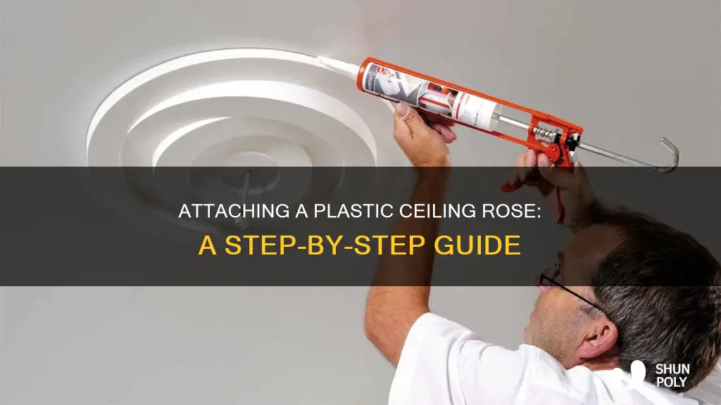 Attaching A Plastic Ceiling Rose: A Step-By-Step Guide | ShunPoly